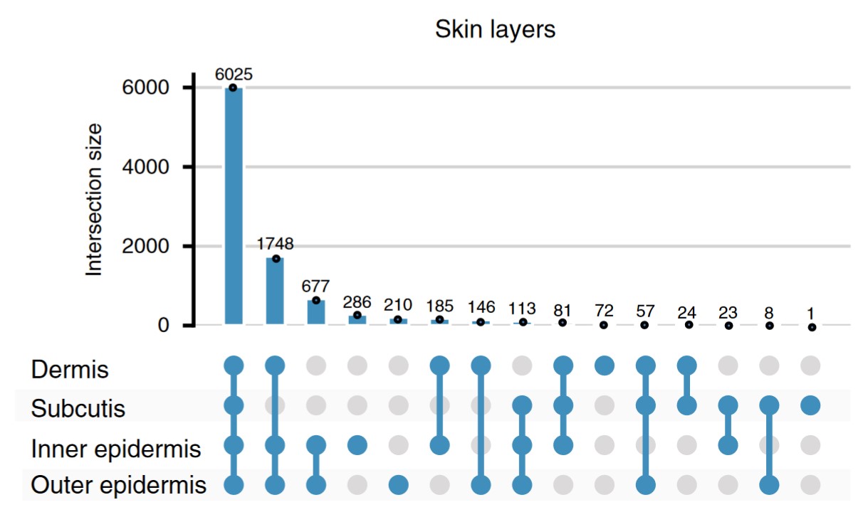 The Skin Atlas